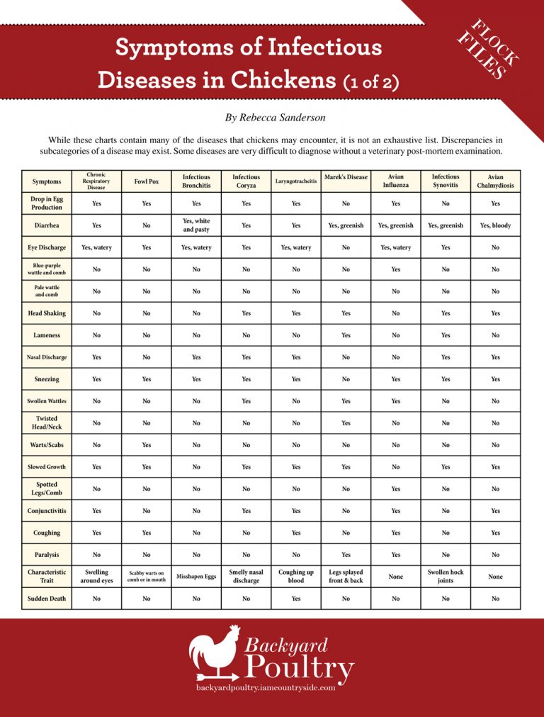 Symptoms of Infectious Diseases in Chickens - Backyard Poultry